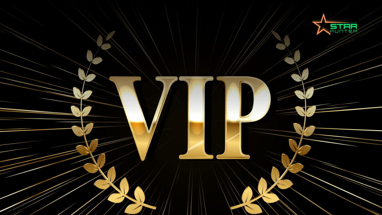 VIP Program – Exclusive Benefits for Loyal Players StarPunter